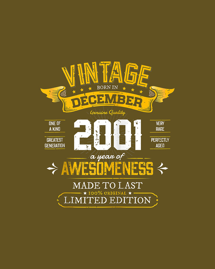 Best of 2001 Vintage 18th Retro December 2001 Birthday Digital Art by ...