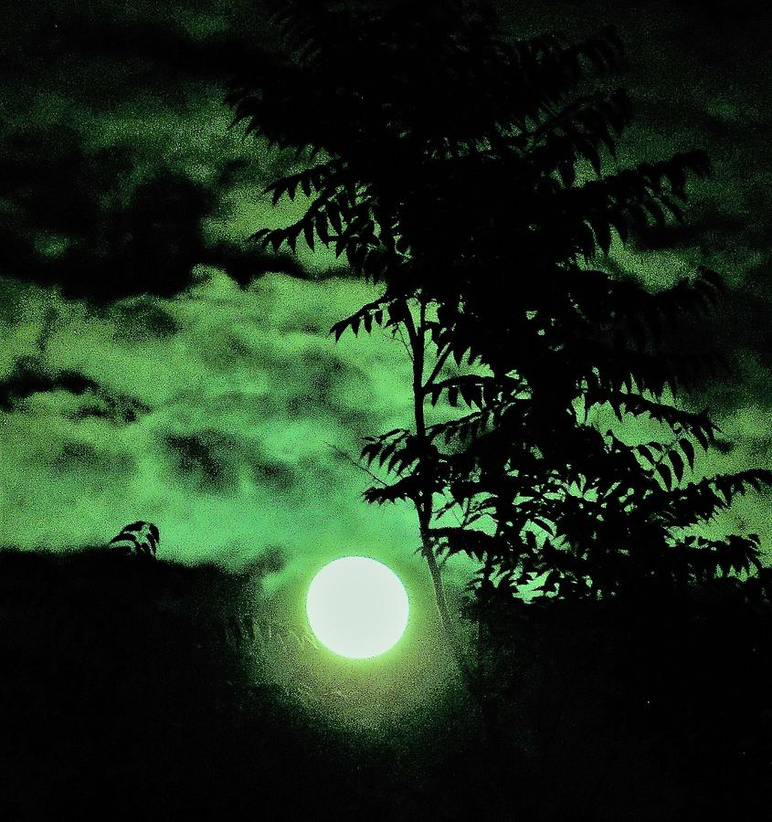 Bewitching Hour Photograph by Judy Nelson - Fine Art America