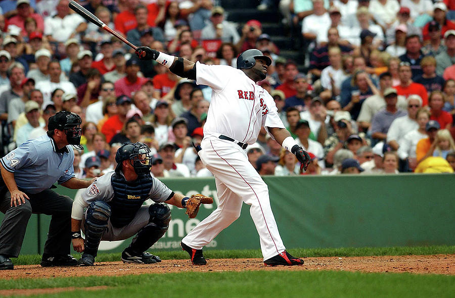 Big Papi Photograph by Paul Robinson - Fine Art America