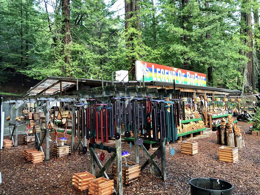 Bigfoot California Redwoods USA Photograph by Curtis Boggs - Fine Art ...