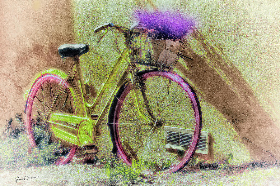 Bike Photograph By Thomas Moseley Fine Art America