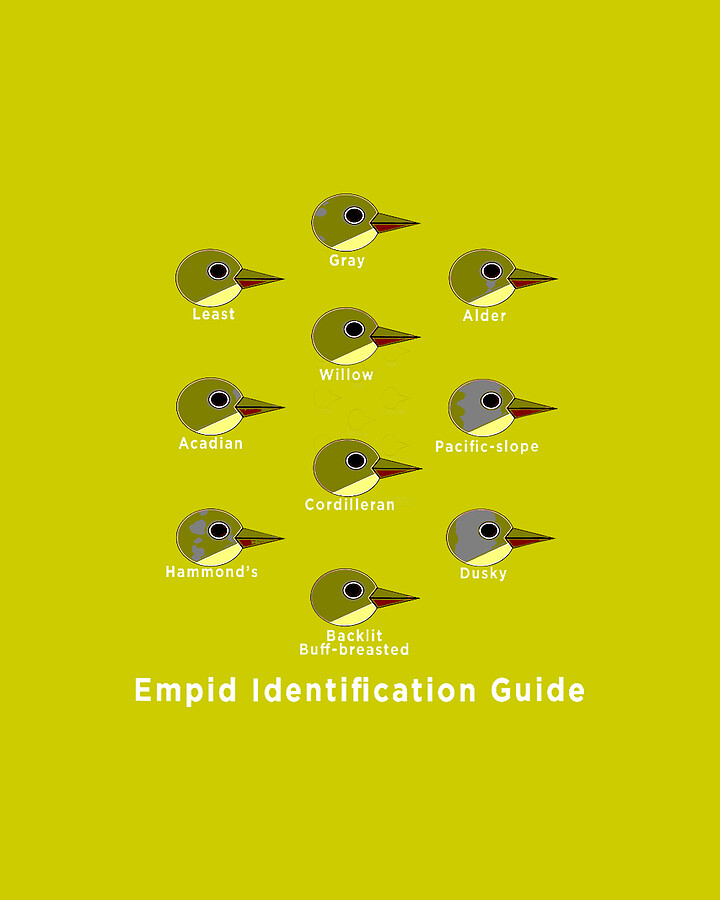 Birding Empid Id Guide Funny Birding Digital Art by Gunner Amelia - Fine Art America