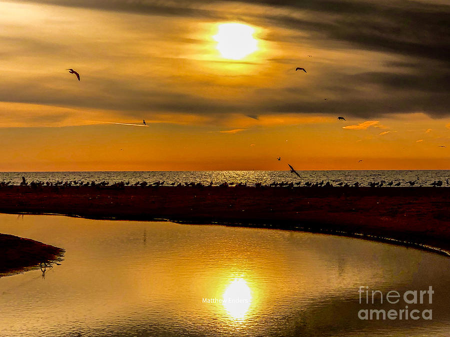Birds Photograph By Matthew Enders Fine Art America