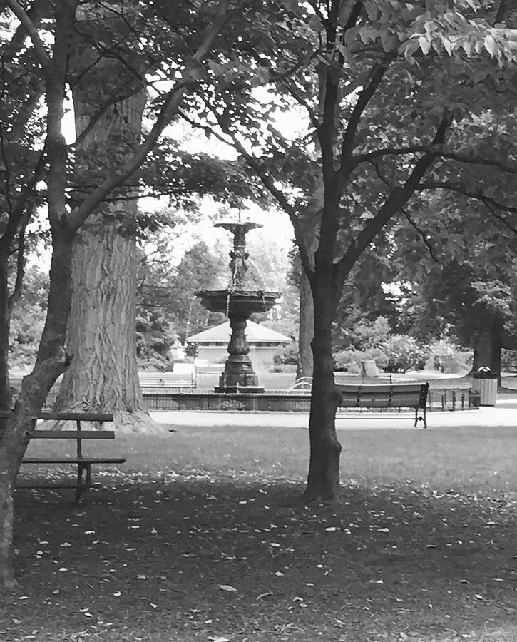 Black and white West End Park in PA Photograph by Tracey Neiman - Pixels