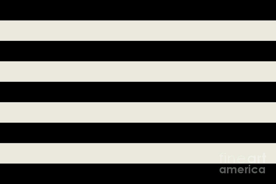Black Ivory Minimal Horizontal Stripe Pattern 2 Pairs Valspar 2023 COTY ...