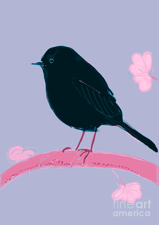 Black robin chatham islands Digital Art by Jacinta Hunt - Fine Art America