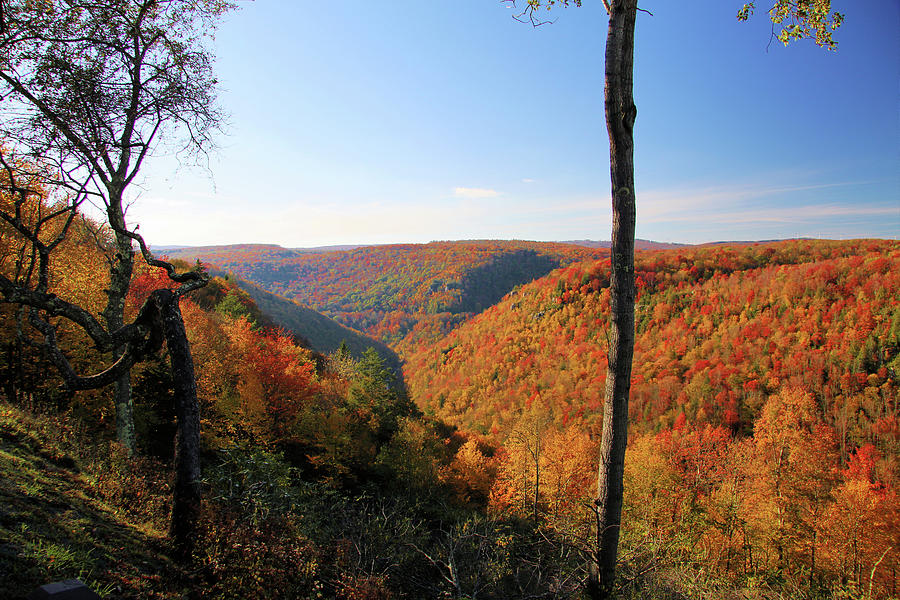 Blackwater Canyon From Lodge 3 Photograph by Daniel Beard - Fine Art ...