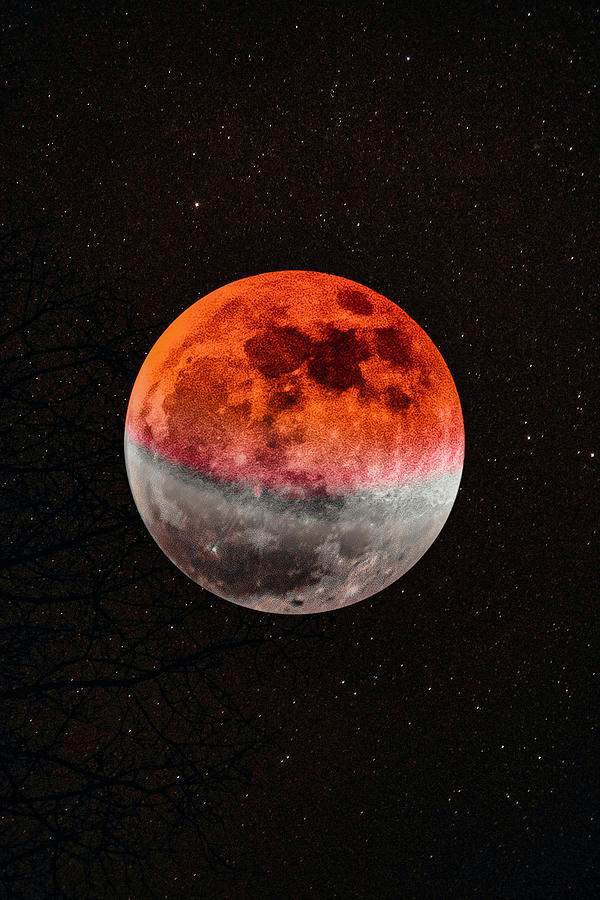 Blood Moon Lunar Eclipse Photograph by Mikey Monteiro | Pixels Blood Moon Lunar Eclipse Photograph by Mikey Monteiro | Pixels