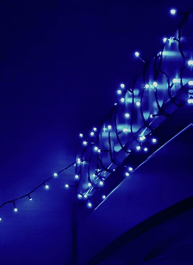 Blue aesthetic Photograph by Valeria Balaniuk - Fine Art America