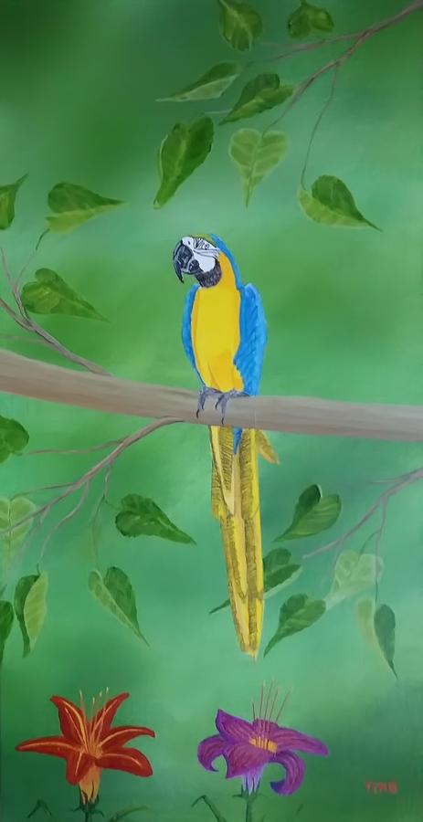 Blue and Yellow Macaw Painting by Tom Mulqueen - Fine Art America