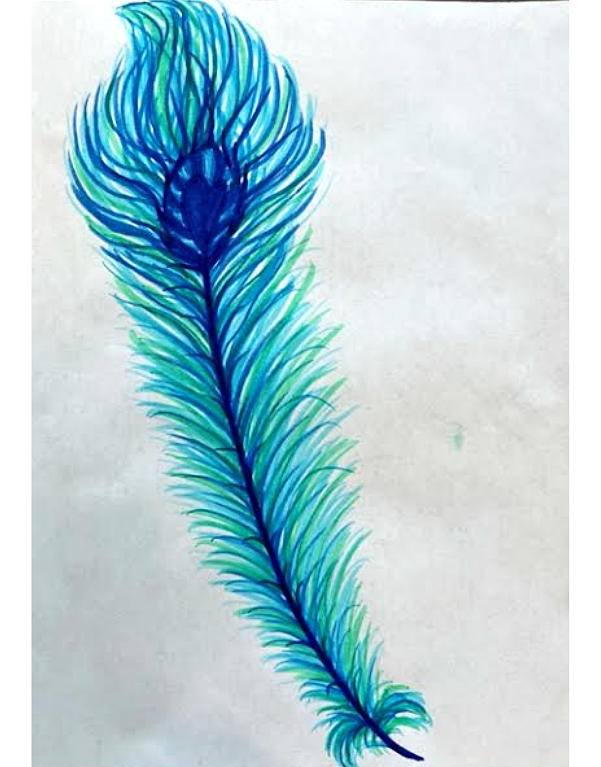 Blue Peacock Feather Drawing by David Condon - Pixels