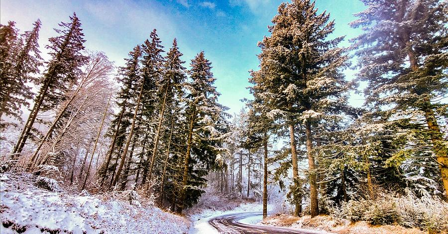 Blue Sky Snow Photograph by Benjamin Preheim - Fine Art America