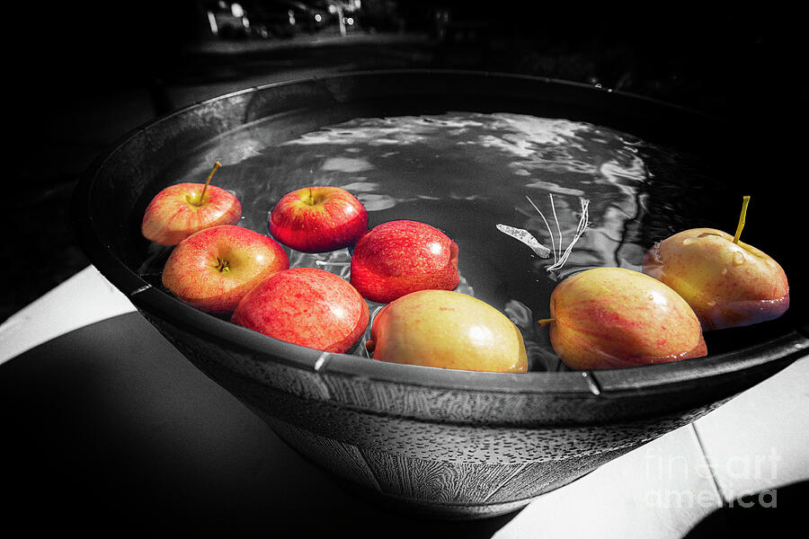 Bobbing for Apples BW Selective Color Photograph by Renata Natale ...