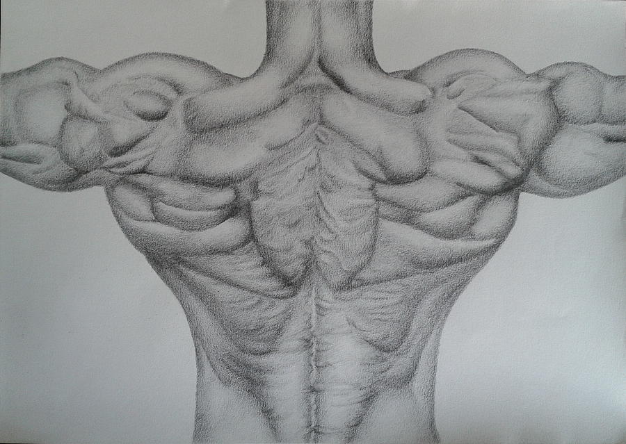 Body Drawing by Nebojsa Surlan - Pixels