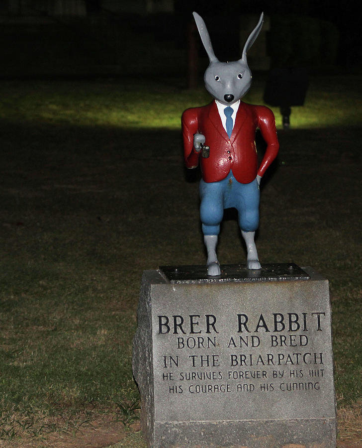 Brer Rabbit Photograph by Curtis Boggs - Fine Art America