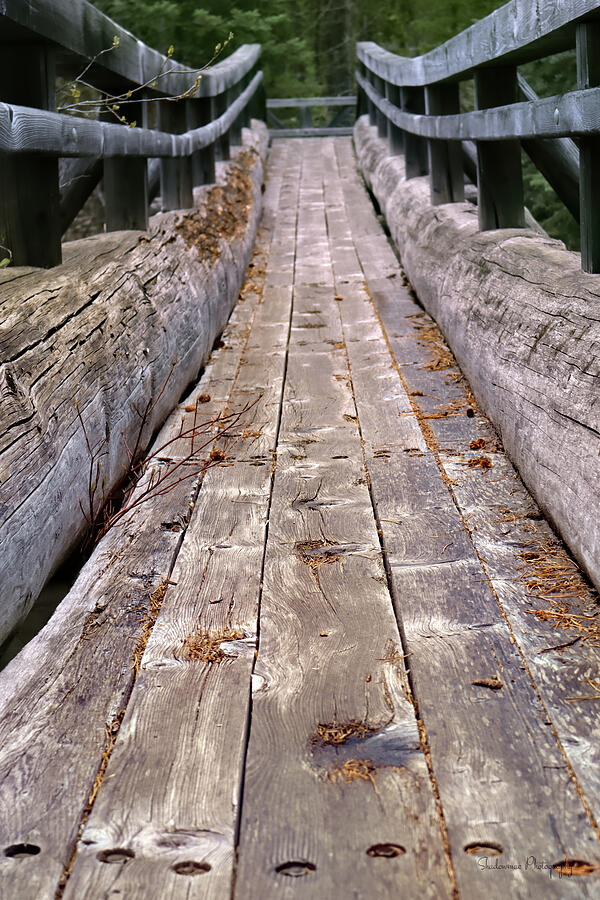 Log Bridge to Adventure Photograph by Ian McAdie - Pixels