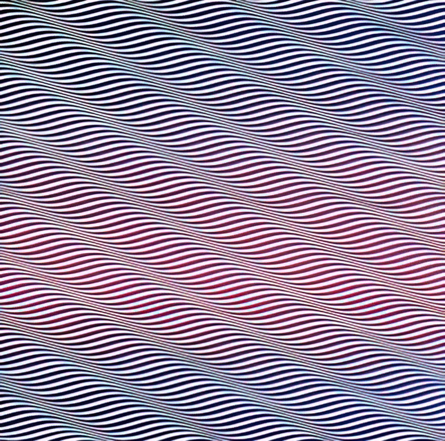Bridget Riley's Exploration of the Intersection of Science and Art ...