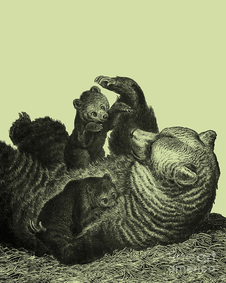 Brown Bear Family Digital Art by Madame Memento - Fine Art America