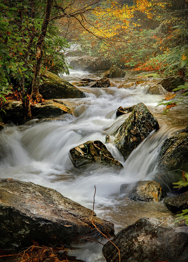 Bubbling Spring Branch Photograph by Ryan Chambers - Fine Art America