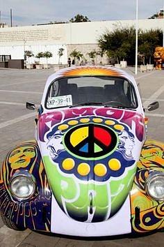 Bug Photograph by Robert Bartel - Fine Art America