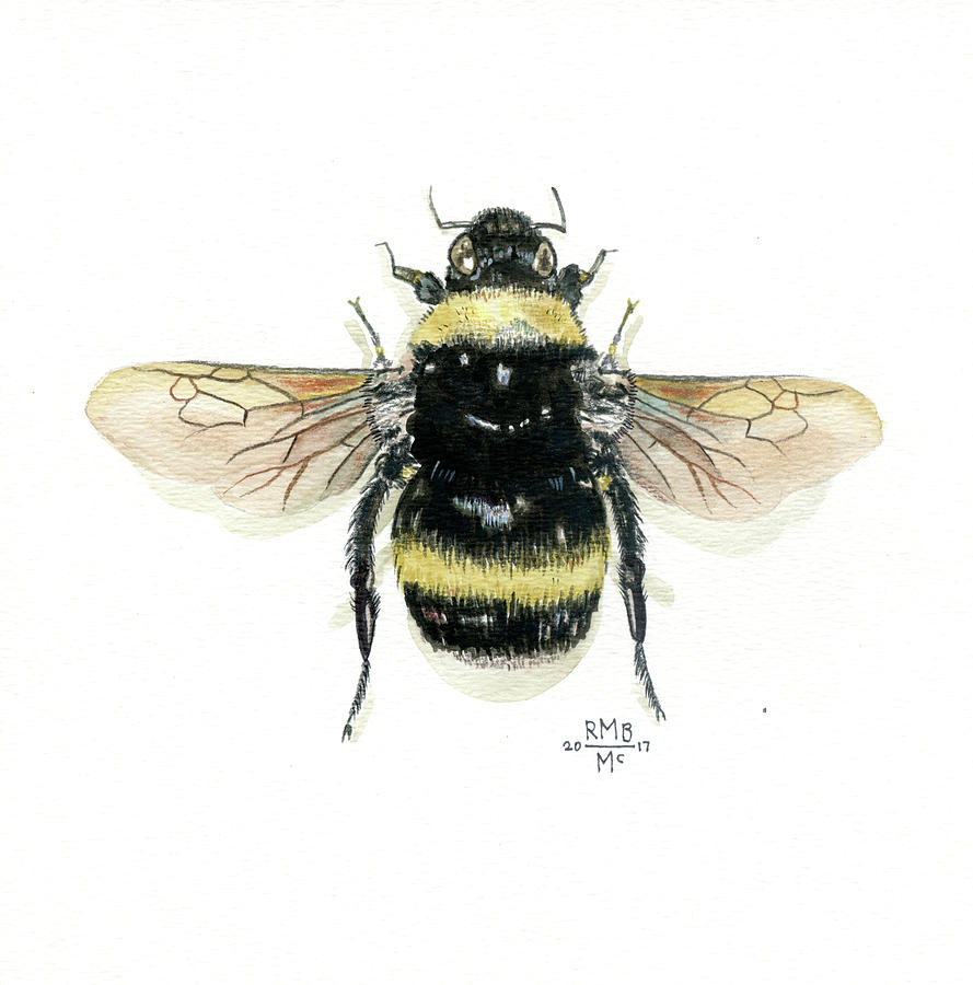 Bumble Bee Painting by Rosalyn Moore Boyd - Pixels