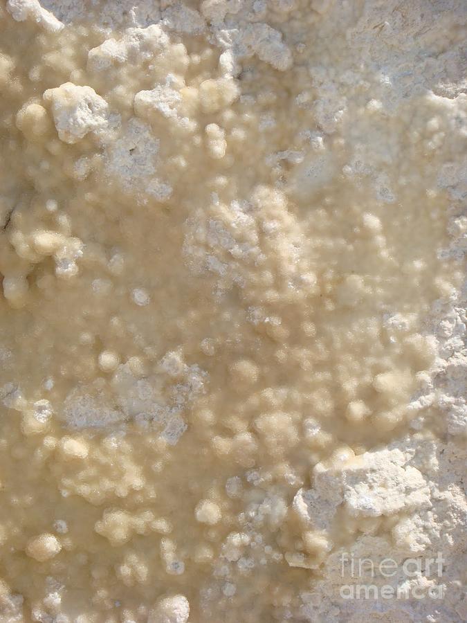 Bumpy Surface Photograph by Aruna Mani | Fine Art America