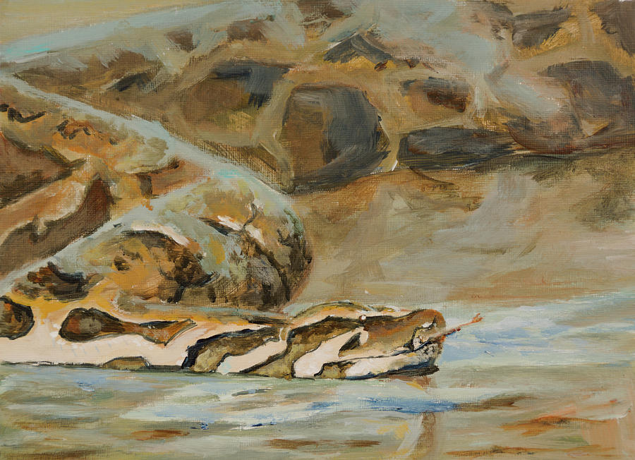 Burmese Python Painting by Robert Ruzicka - Fine Art America