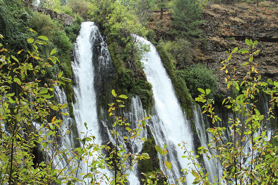 Burney falls, California Photograph by Alexandra Dallimore - Pixels
