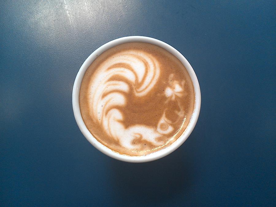 Caffeinated Squirrel Photograph by John Dicken - Fine Art America