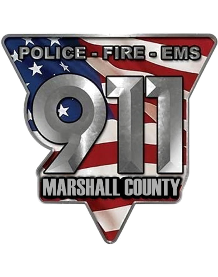 Call 911 on Fox Poster humor Painting by Joel Connor | Pixels