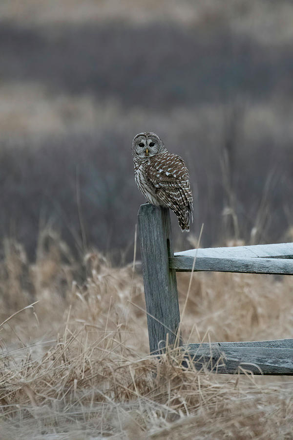 Calm Photograph by Jamie Patchen - Fine Art America