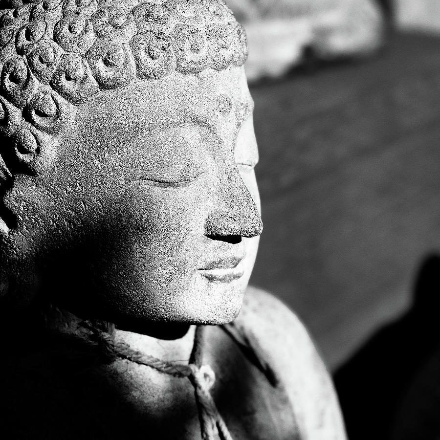 Calm Photograph by Saam Sadeghi - Fine Art America