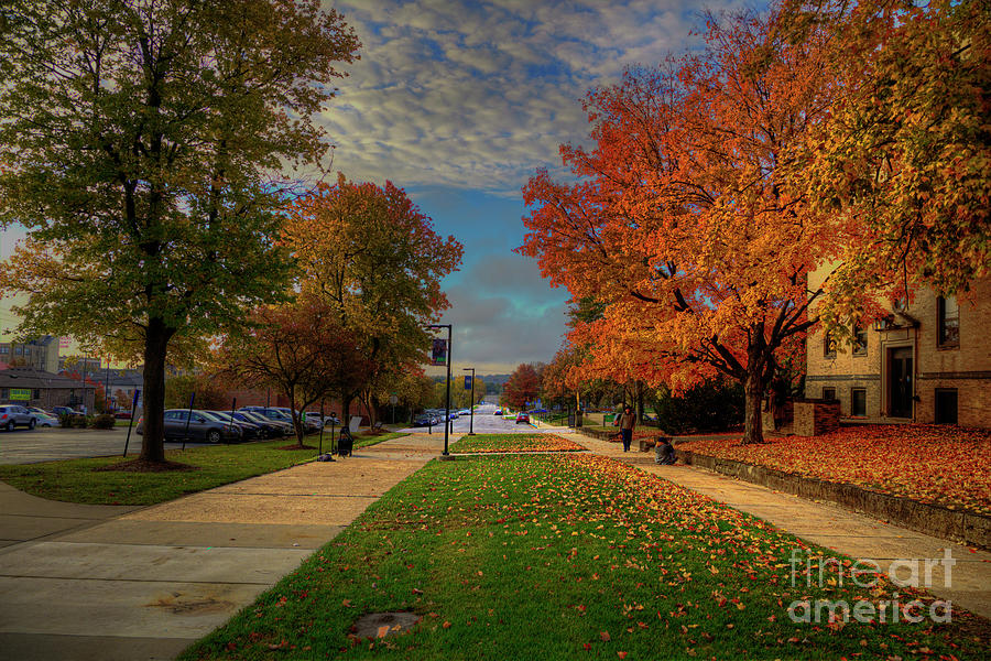 Campus Sidewalk Photograph by Larry Braun | Pixels