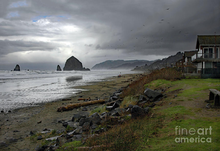 Cannon Beach Oregon Photograph By Michael Ziegler Fine Art America