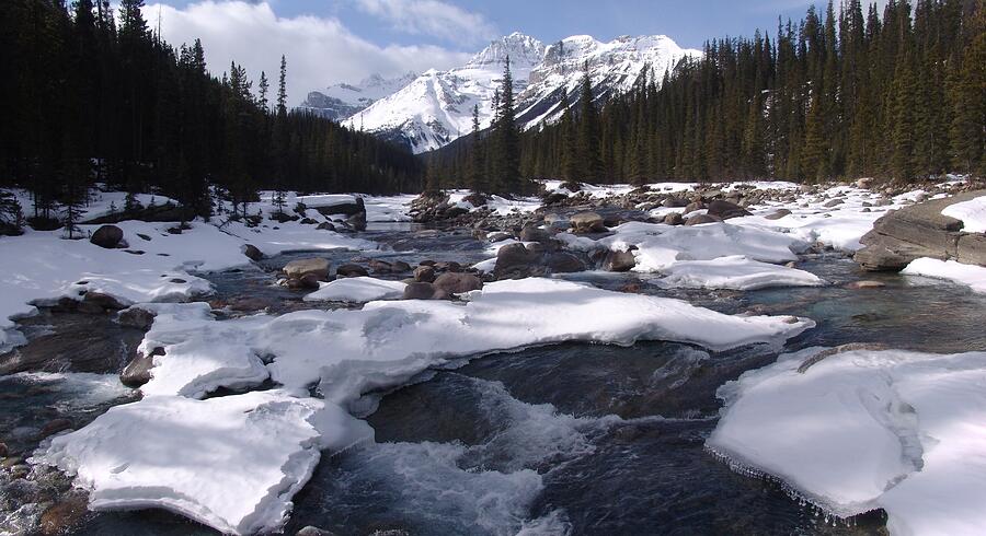 Canyon Snow Caps - Icefields Parkway, Alberta Photograph by Ian McAdie ...