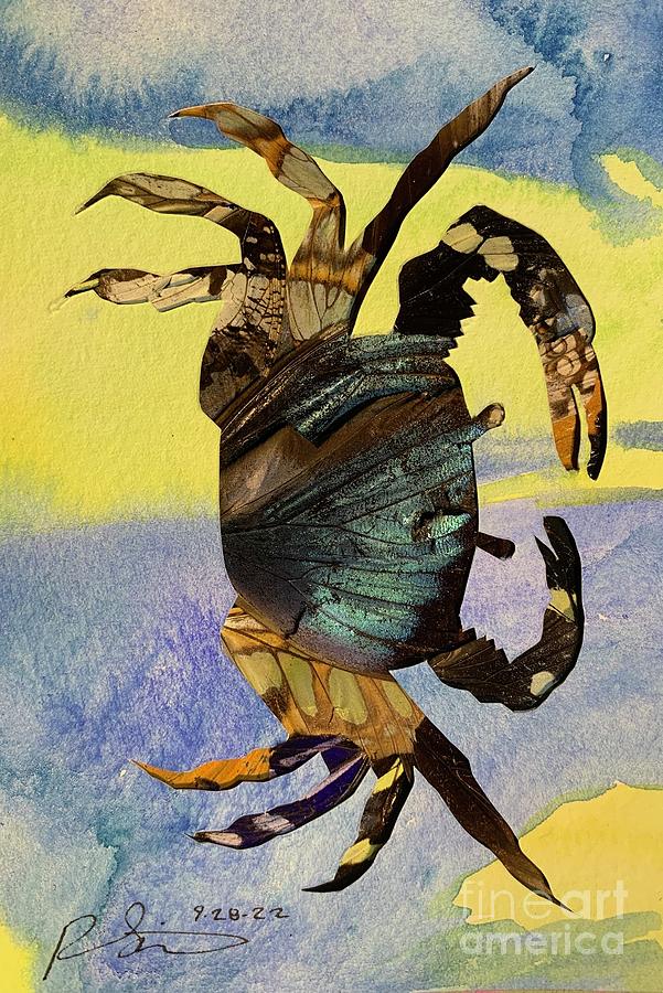 Cape Cod - Crab Mixed Media by Ryan Smithson | Fine Art America