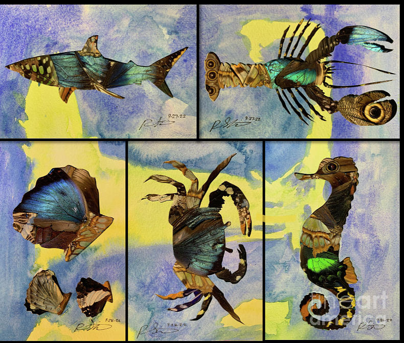 Cape Cod Series Mixed Media by Ryan Smithson - Fine Art America