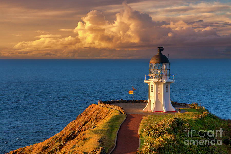 Cape Reinga Lighthouse, New Zealand Photograph by Colin and Linda McKie ...