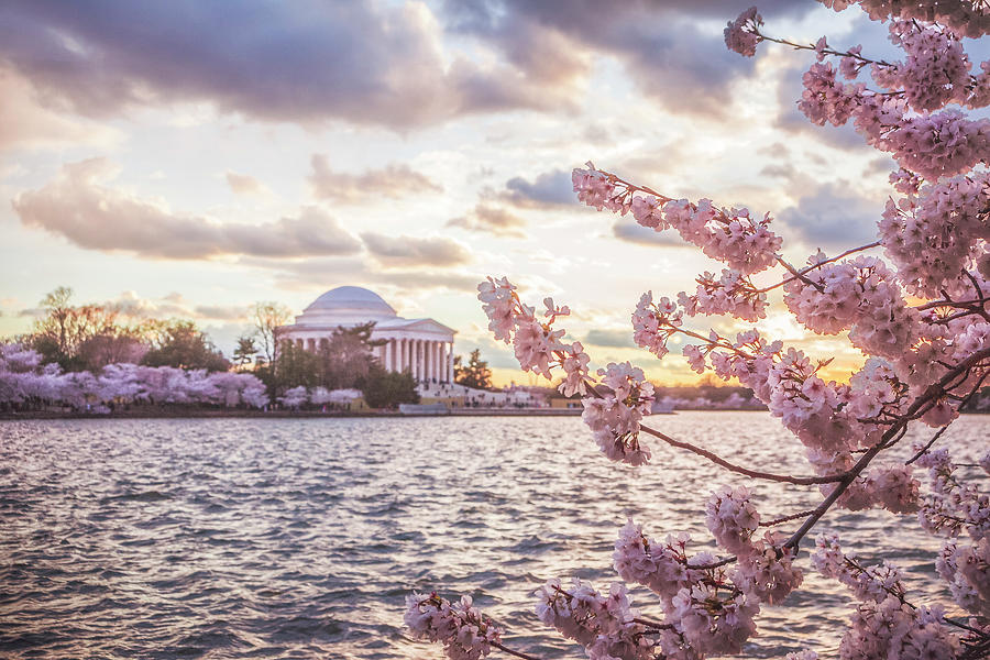 Capitol Spring Photograph by Andrew Soundarajan - Fine Art America