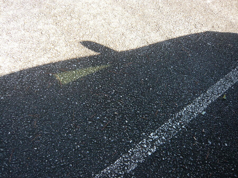 Car Shadow Photograph by Derrf Seitz - Fine Art America