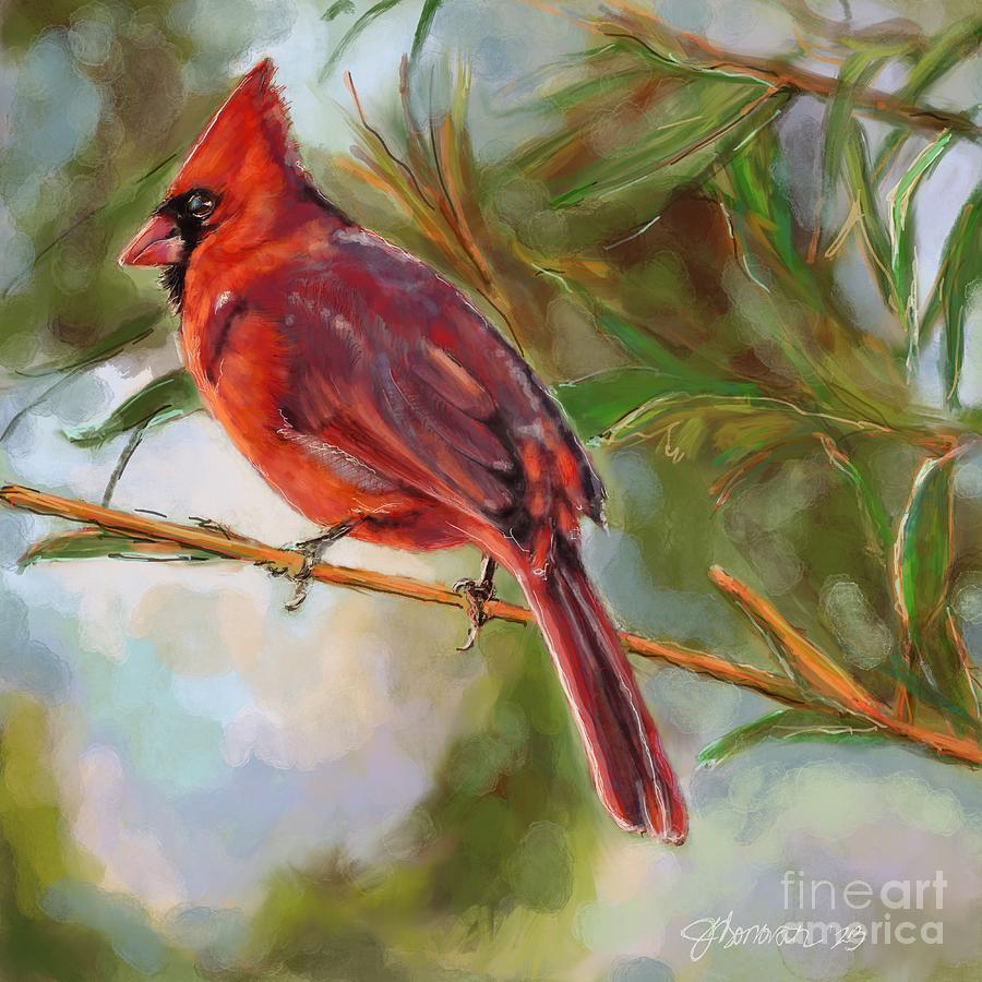 Cardinal Digital Art by Jennifer Donovan - Fine Art America