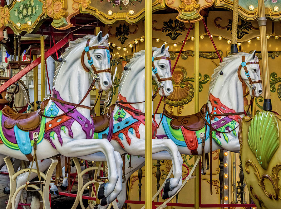 Carousel Stallions Photograph by Frank Barnitz - Fine Art America