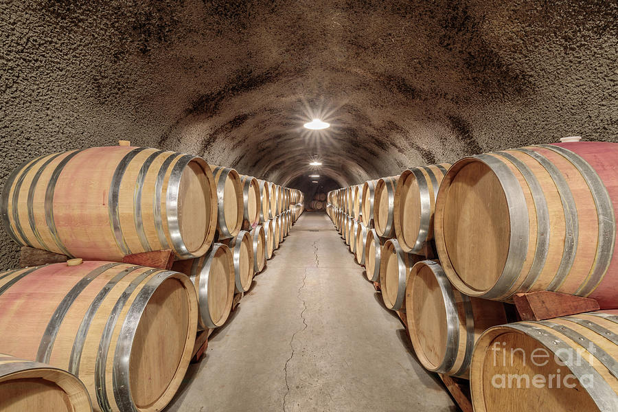 Cask storage in underground wine cellar in California Wine Country ...
