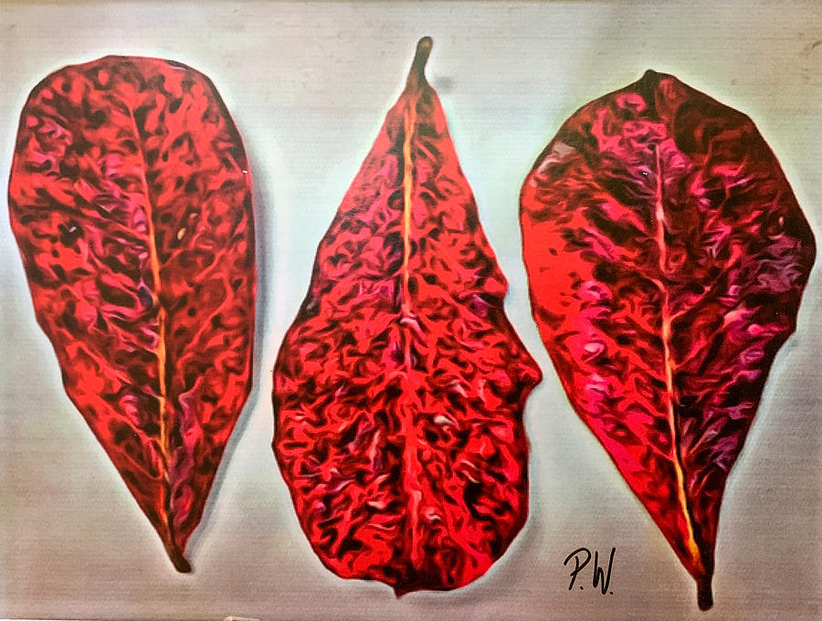 Costa Rica Almendra Leafes Painting by Peter Wright - Fine Art America