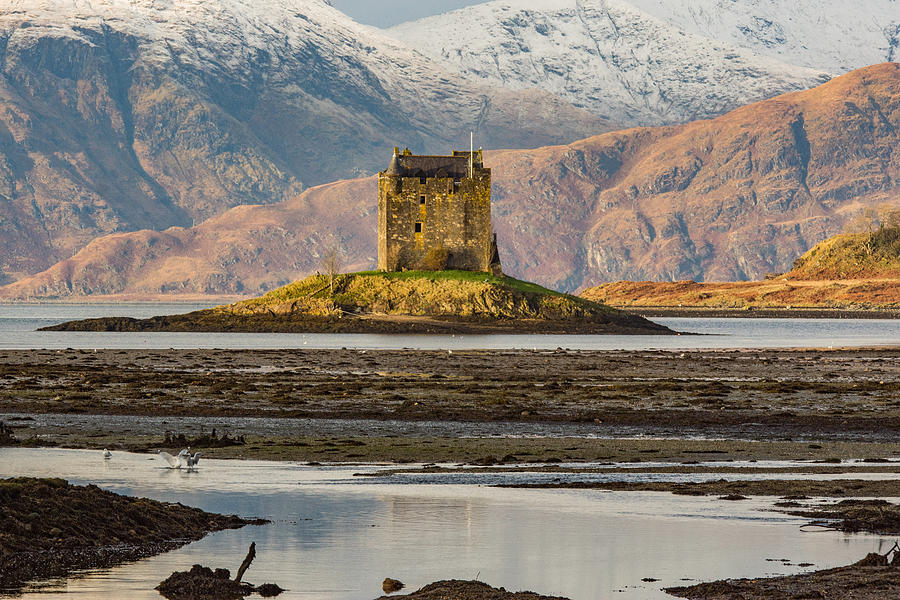 Castle Stalker 2 Photograph by Daniel Letford - Fine Art America