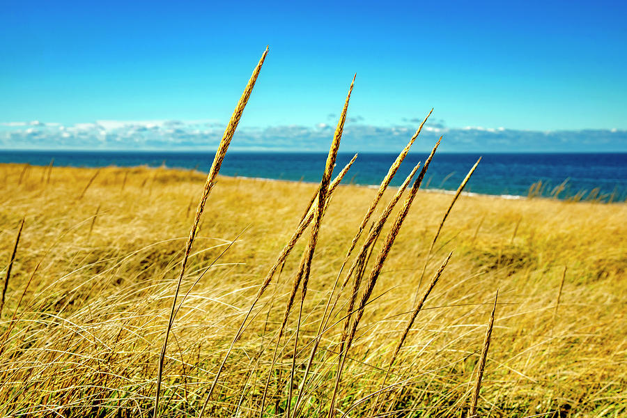 Catching Wind Photograph by Greg Fortier - Fine Art America