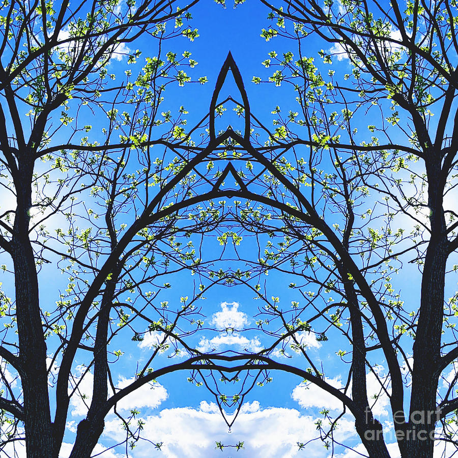 Cathedral Digital Art by Nathan Lester - Fine Art America