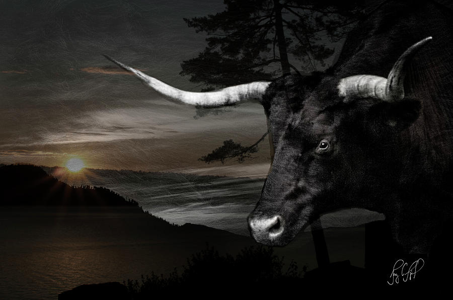 Cattle Photograph by George Sipl | Fine Art America