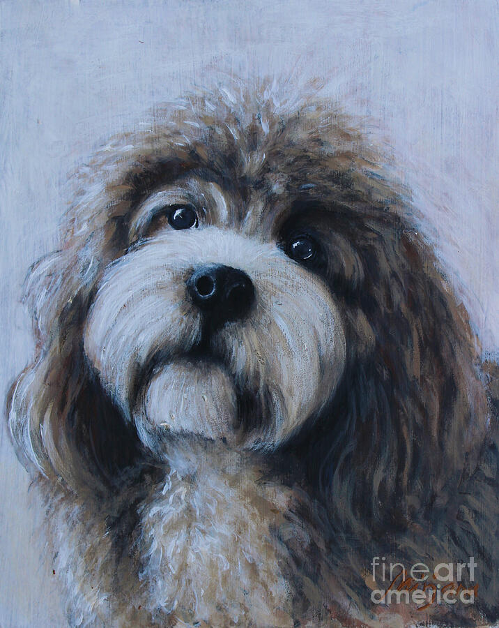 Cavapoo Painting by Mirjana Cesar - Fine Art America