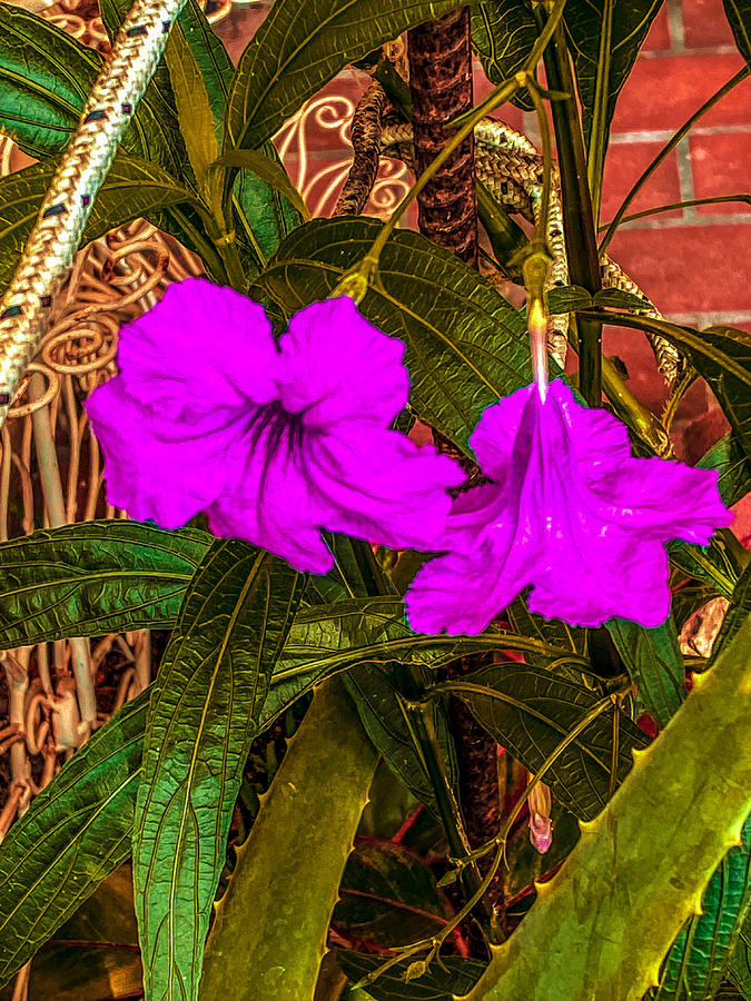 Changes Photograph by Audrey Robillard - Fine Art America